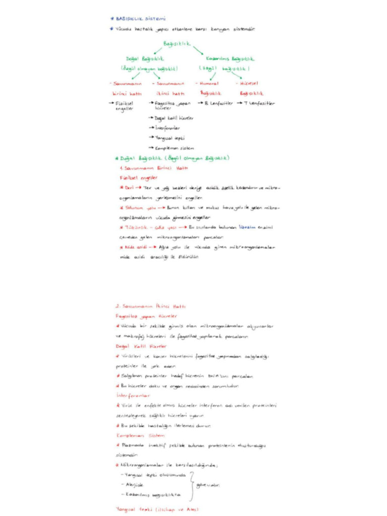 Bağışıklık Sistemi | PDF