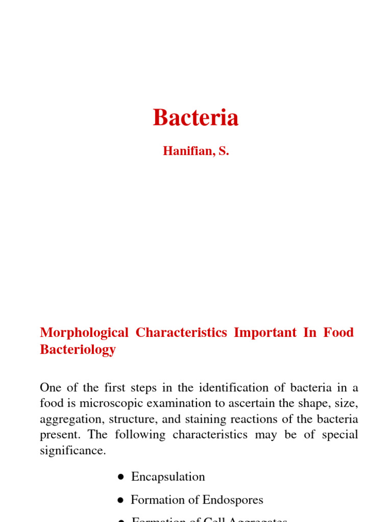 Food Microbiology - Classification of Bacteria | PDF | Mycobacterium ...