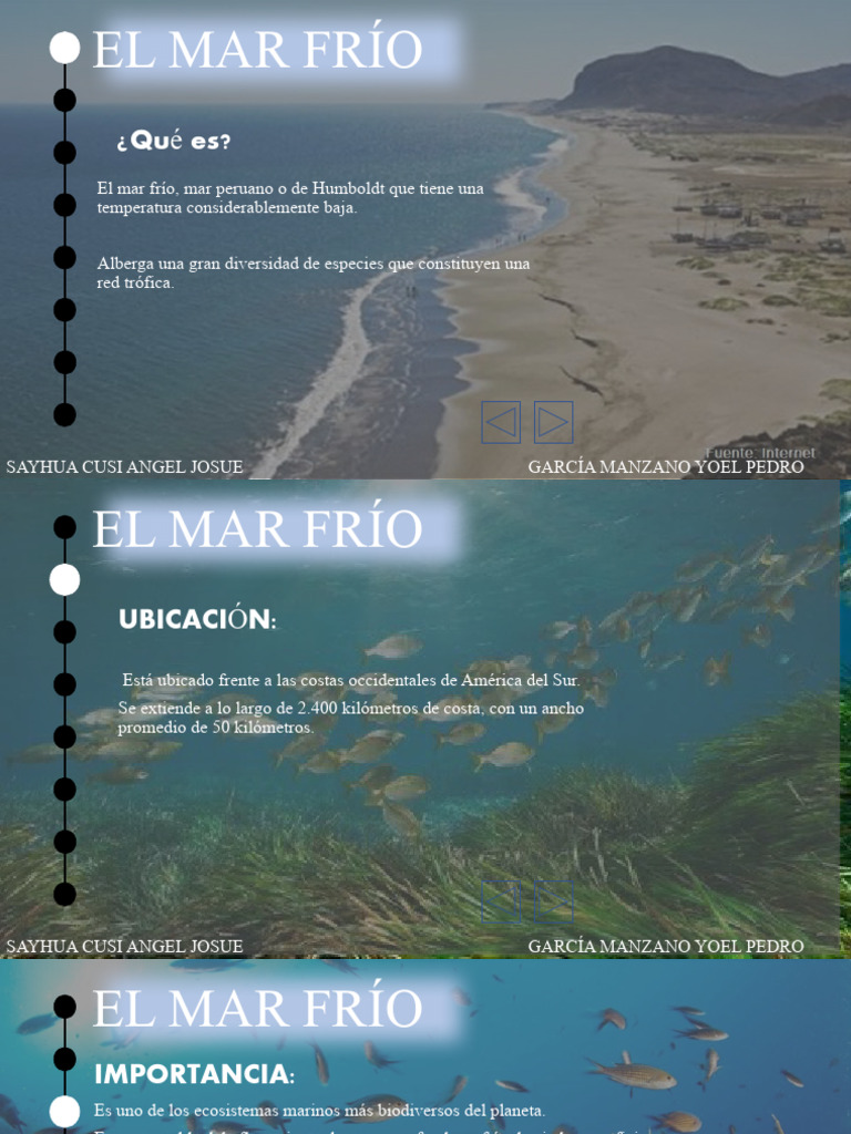 El Mar Frío | PDF | Mar | Sobrepesca