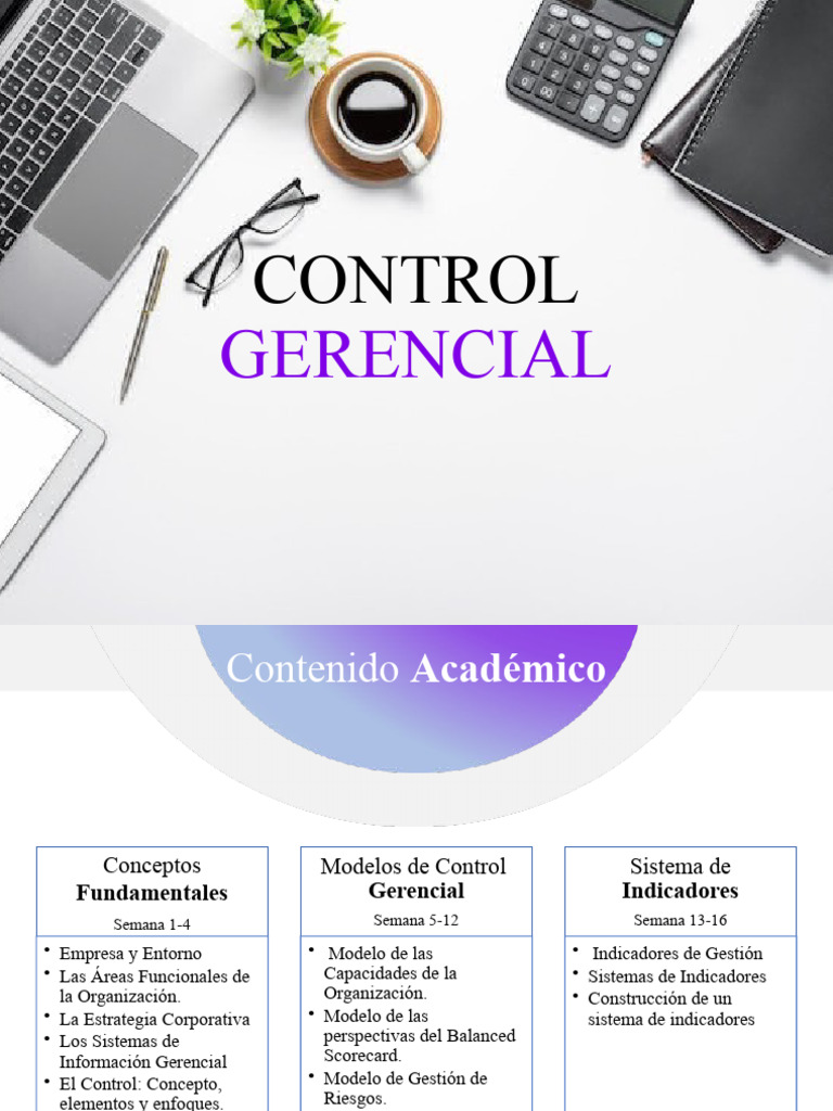 Control Gerencial | PDF | Business | Economias