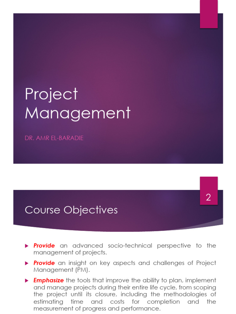 pm-ch1 | PDF | Project Management | Governance