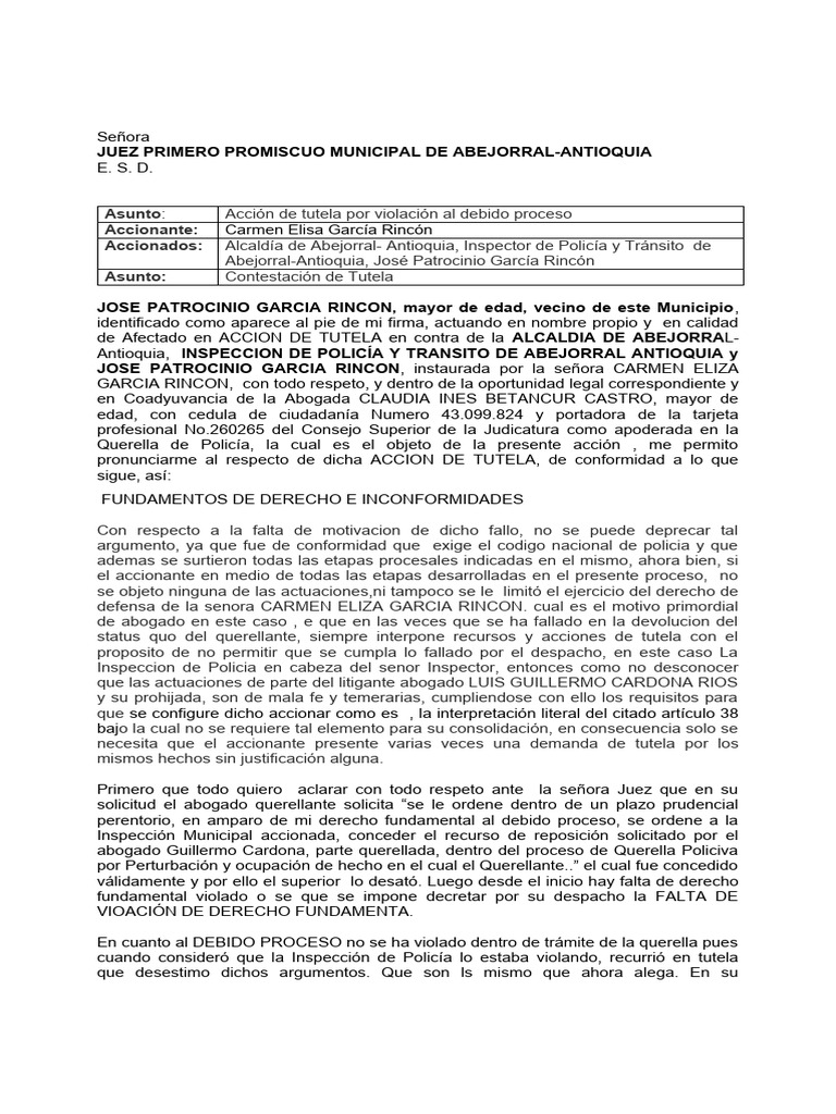 2.3.4. PRONUNCIAMIENTO FRENTE A TUTELA PATROCINIO (14 Folios) (2042) | PDF | Caso de ley ...