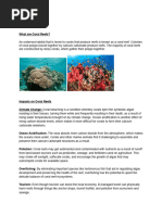 Coral Bleaching Worksheet | PDF | Coral | Coral Reef