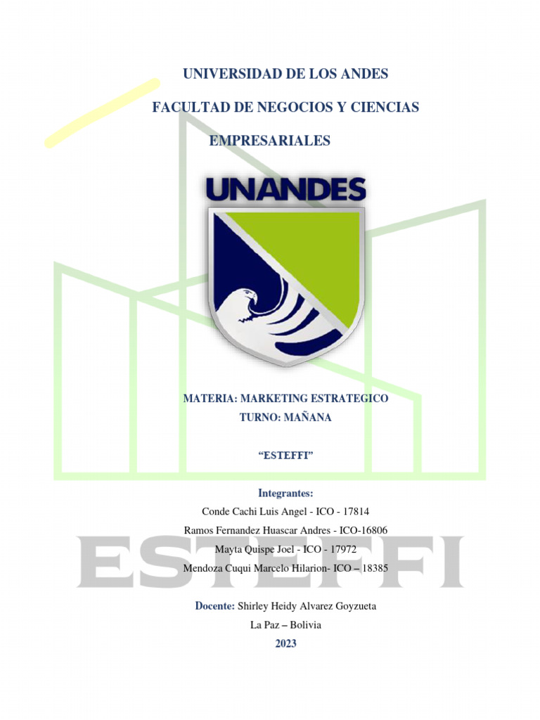 Proyecto Final Esteffi | PDF | Marketing | Business