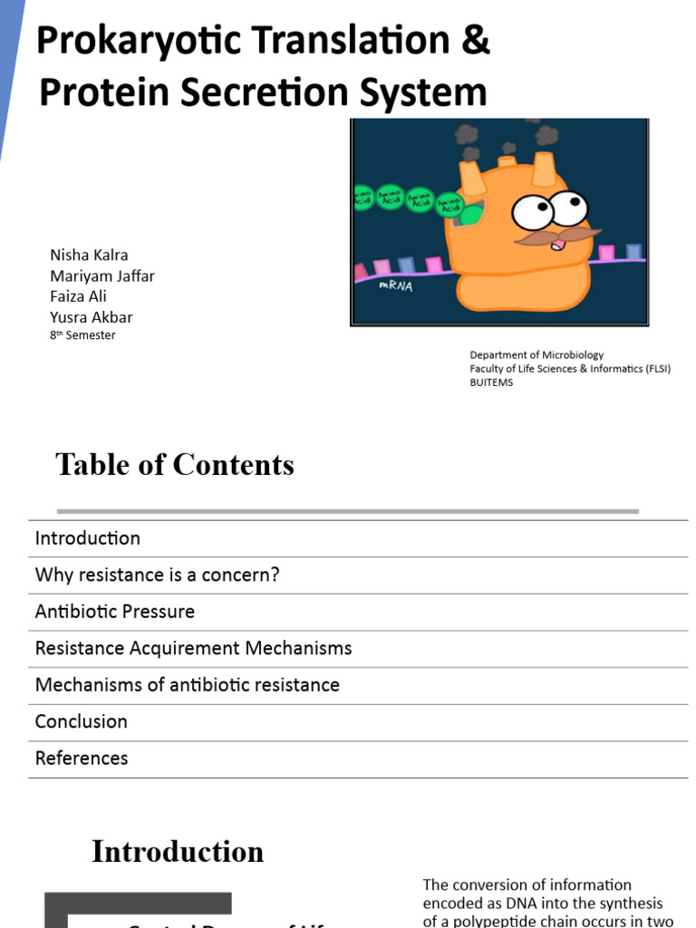Bacterial Genetics Presentation | Download Free PDF | Genetic Code | Translation (Biology)