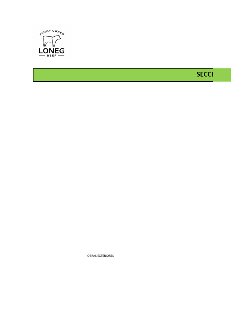 LAST PLANER LONEG BEEF | PDF | Hormigón | Fundación (Ingeniería)