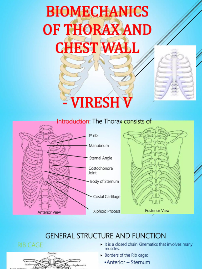 Thorax and Chest Wall | PDF