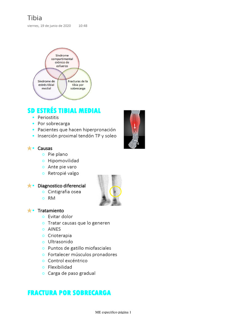 Tibia | PDF | Pie | Sistema musculoesquelético