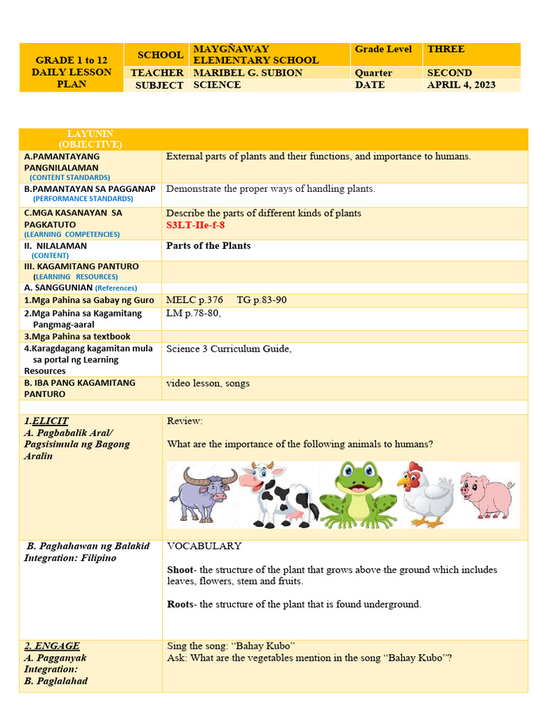 Sience 3 Cot Final | Download Free PDF | Plants | Foods