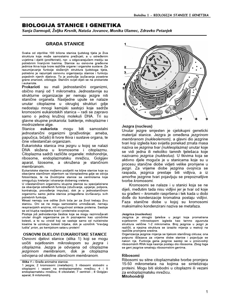 Genetika Skripta | PDF