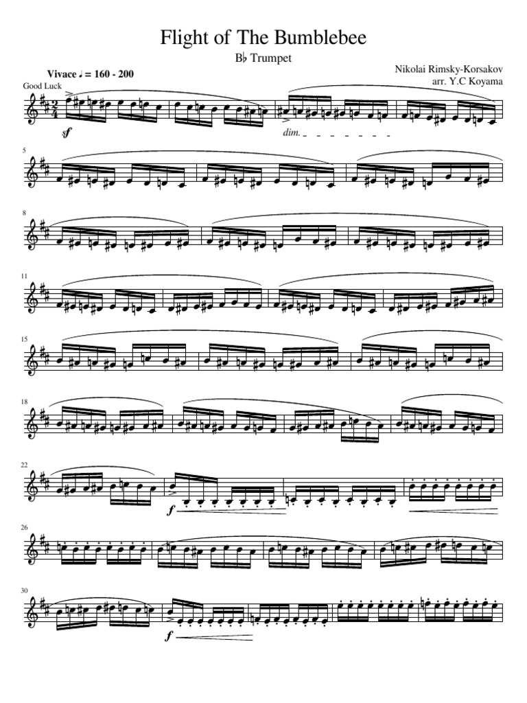 Flight of The Bumblebee | PDF | Compositions