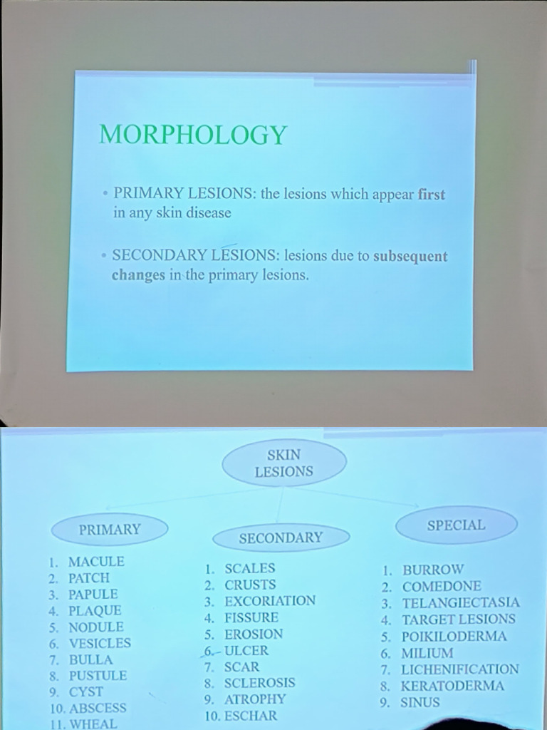 Derma 1 Lecture | PDF