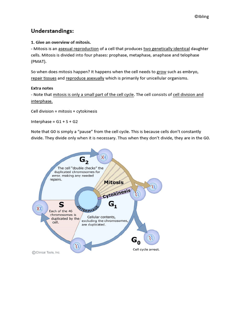 Unit 1 Cell Biology - 6 Cell Division | PDF | Mitosis | Chromosome