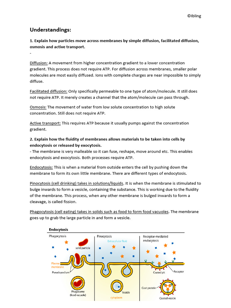 Unit 1 Cell Biology - 4 Membrane Transport | PDF | Cell Membrane | Osmosis
