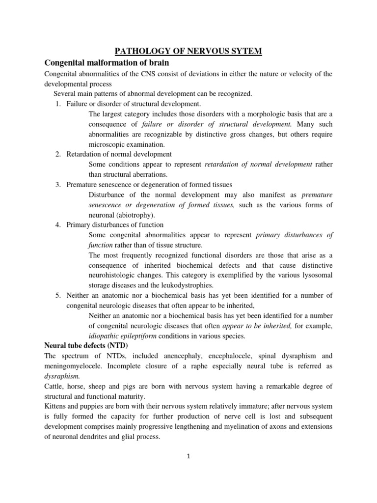Patho Nervous System | Download Free PDF | Vertebral Column | Axon