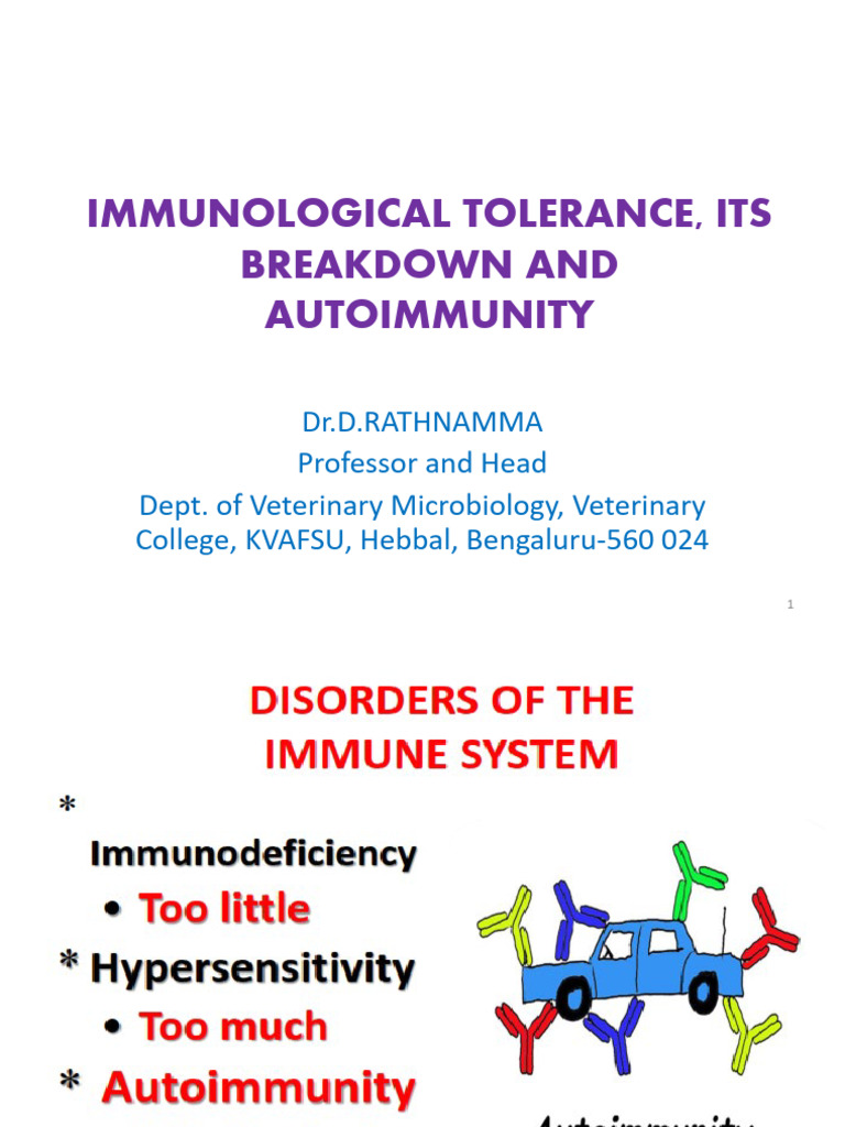 Immunology 12 | PDF | Immune Tolerance | Immune System