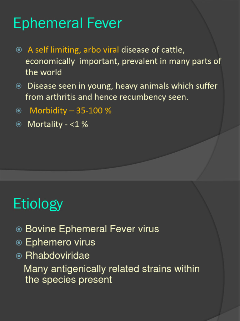 Ephemeral | PDF | Animal Diseases | Microbiology