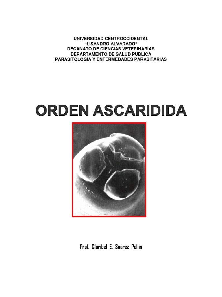 Clasificación y Patogénesis de Ascaridida | PDF | Diarrea