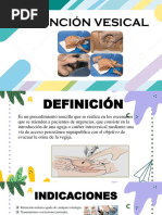 Maniobra de Crede | PDF | Urología | Sistema genitourinario