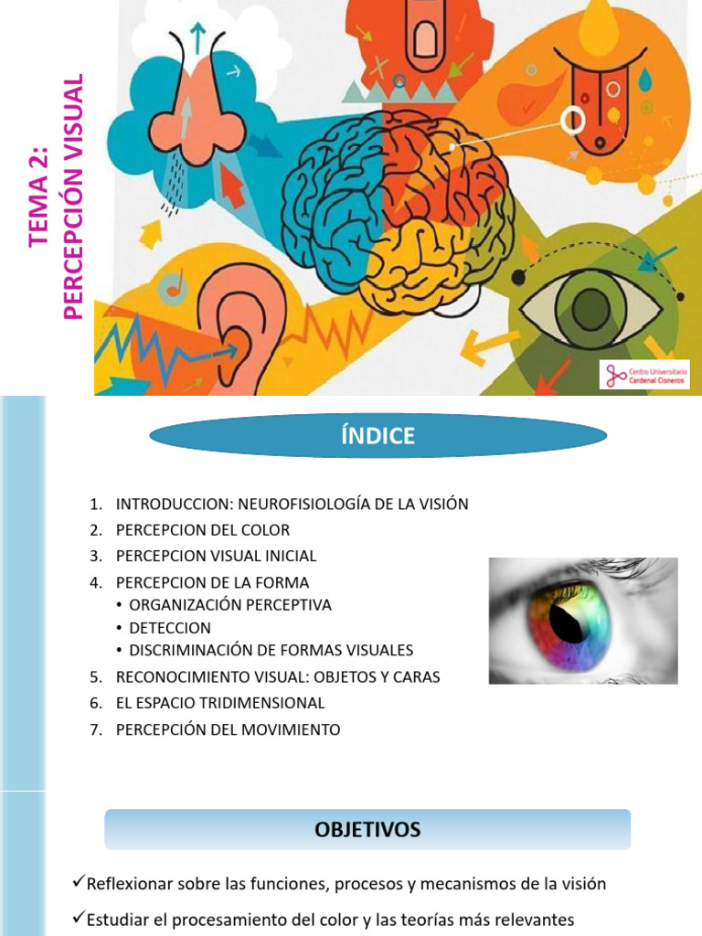 Tema 2 - Percepción Visual-2 | PDF | Percepción visual | Color