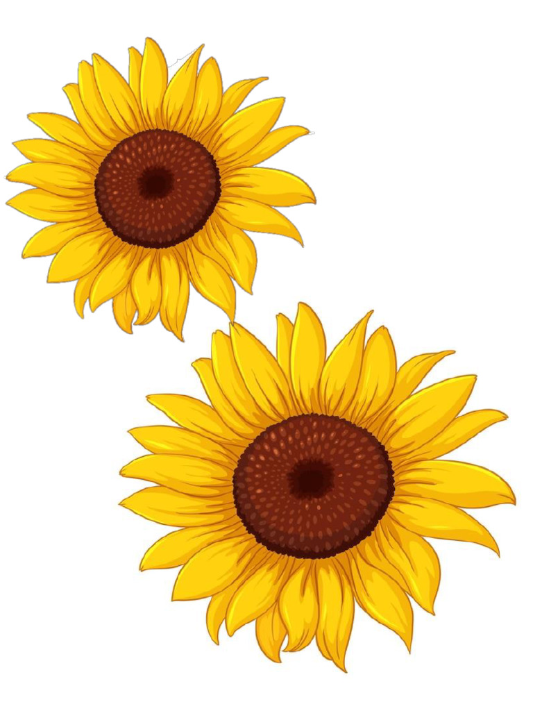 Girasol Pdf