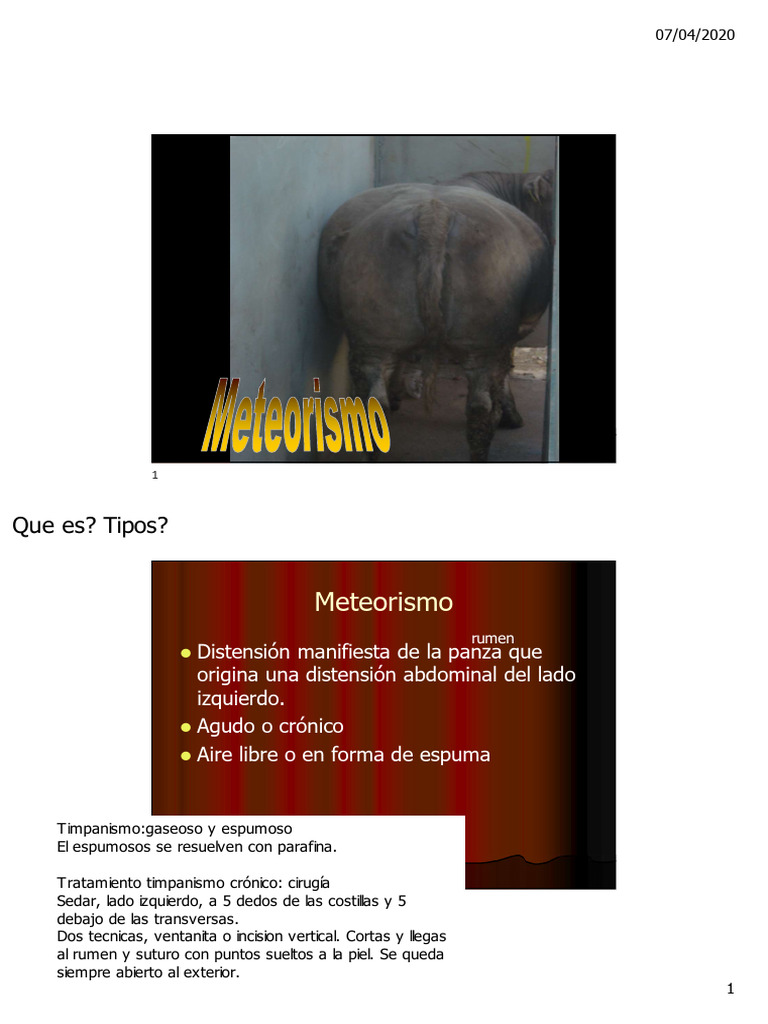T26. Meteorismo | PDF | Gastroenterología | Enfermedades y trastornos