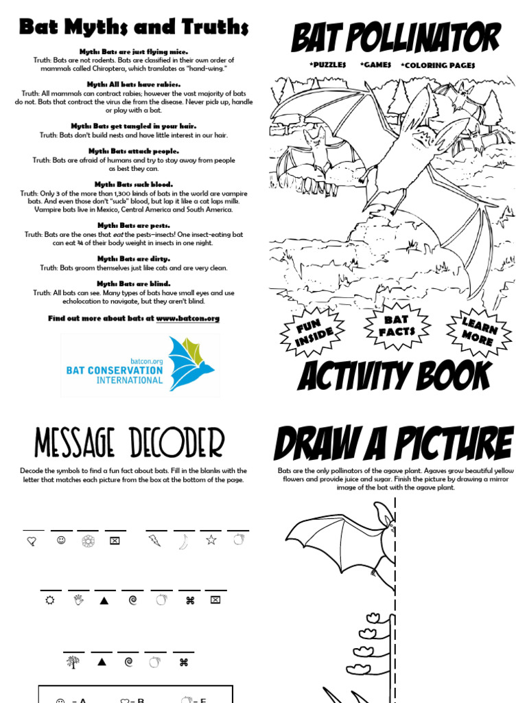 Bat Pollinator Activity Book | PDF | Bat | Flowers