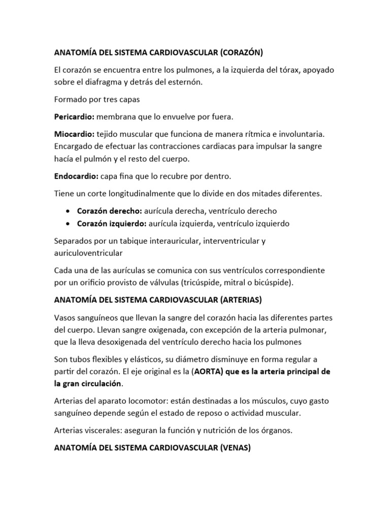 Anatomía y Evaluación del Sistema Cardiovascular | PDF | Corazón ...