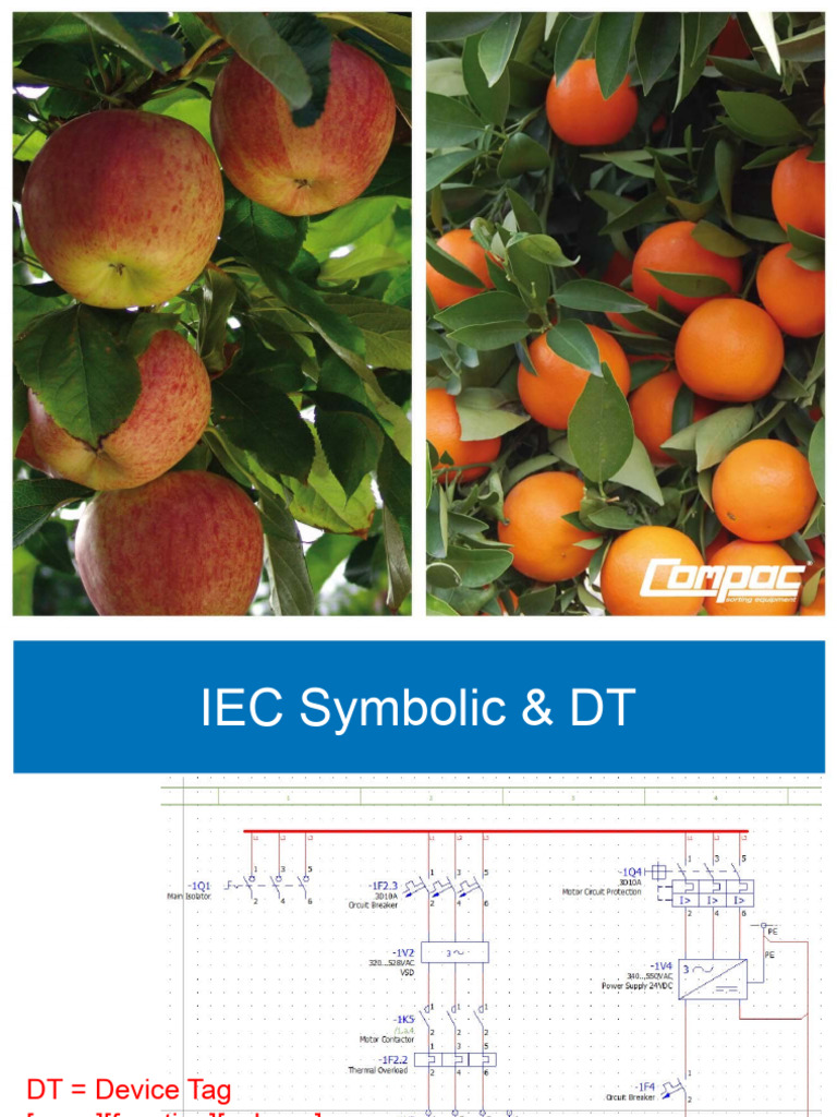 Electrical Drawings Presentation | PDF