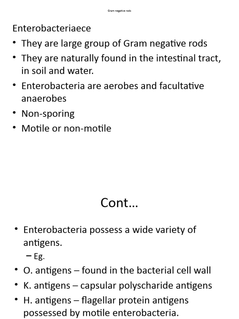 5 Gram Negative Rod | PDF | Tuberculosis | Mycobacterium
