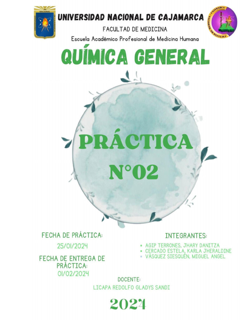 Practica N02 | PDF | Laboratorios | Experimentar
