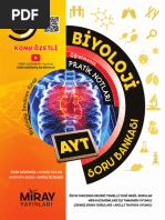 Ayt Edebiyat Yazar Eser | PDF