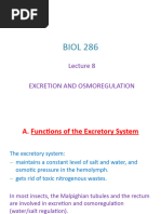 Insect Excretory System Overview | PDF | Chloride | Sodium