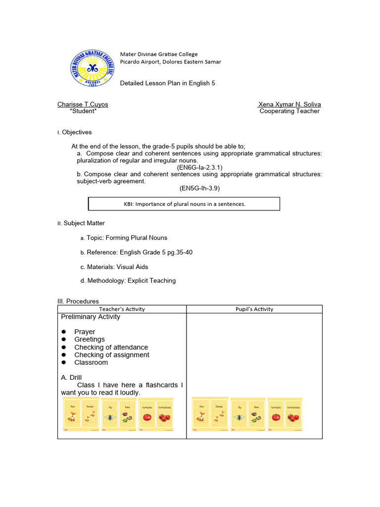 Englsih 5 LESSON PLAN | PDF | Grammatical Number | Plural