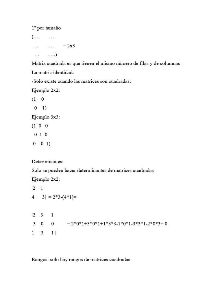 Propiedades y Tipos de Matrices Cuadradas | PDF