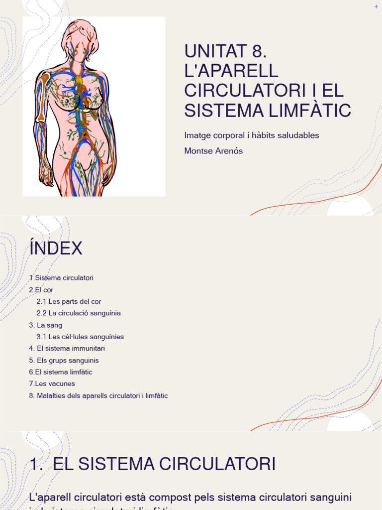 Aparell Circulatori | PDF