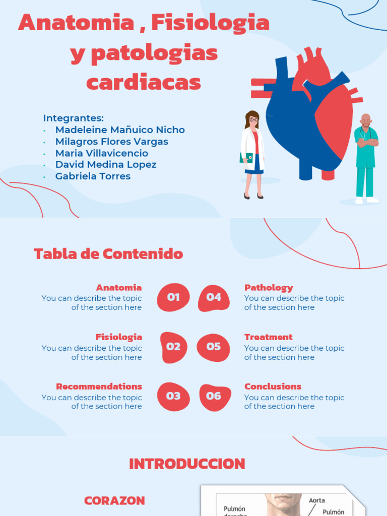 Anatomía y Fisiología del Corazón | PDF | Corazón | Ventrículo (corazón)