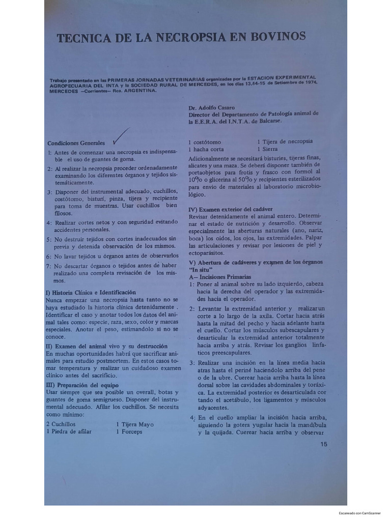 Tecnica de Necropsia en Bovinos | PDF