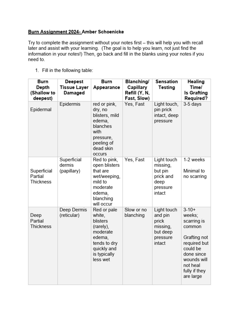 2024 Burn Injury Assessment Guide | PDF | Anatomical Terms Of Motion ...