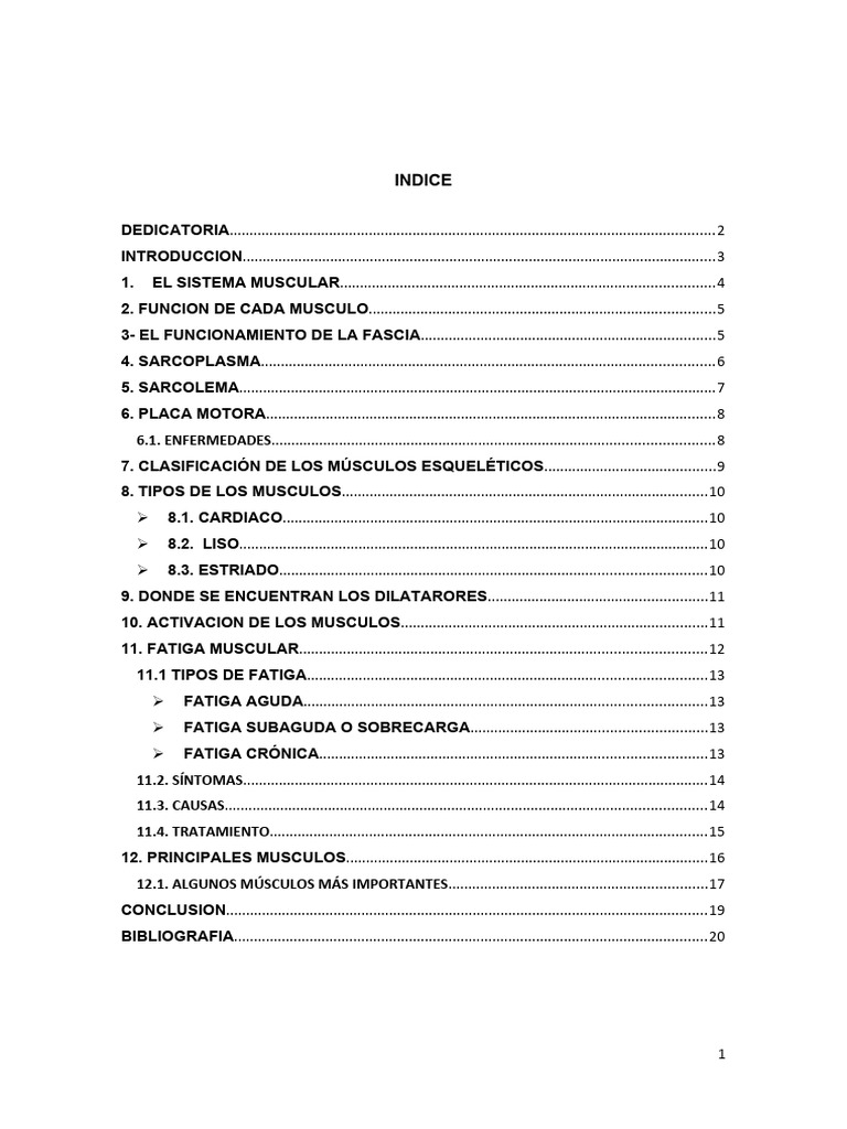 Expo Cision | PDF | Músculo | Contracción muscular