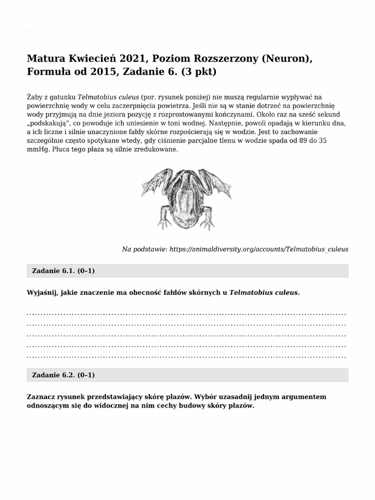 Matura 2 | PDF