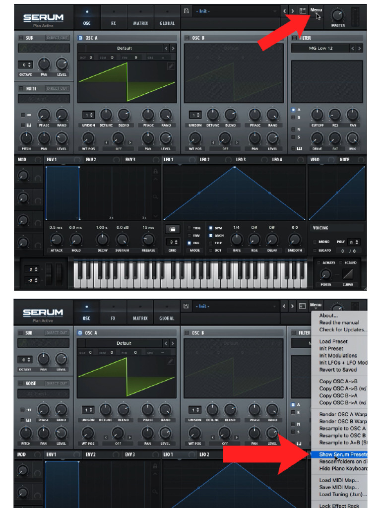 How To Install For SERUM | PDF