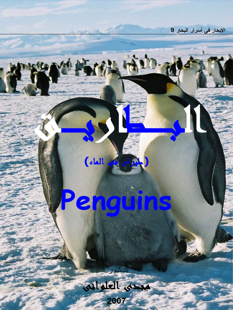 Penguins | PDF