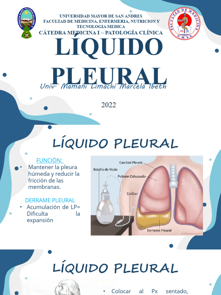 Guía de Manejo del Derrame Pleural | PDF | Medicina | Enfermedades y ...