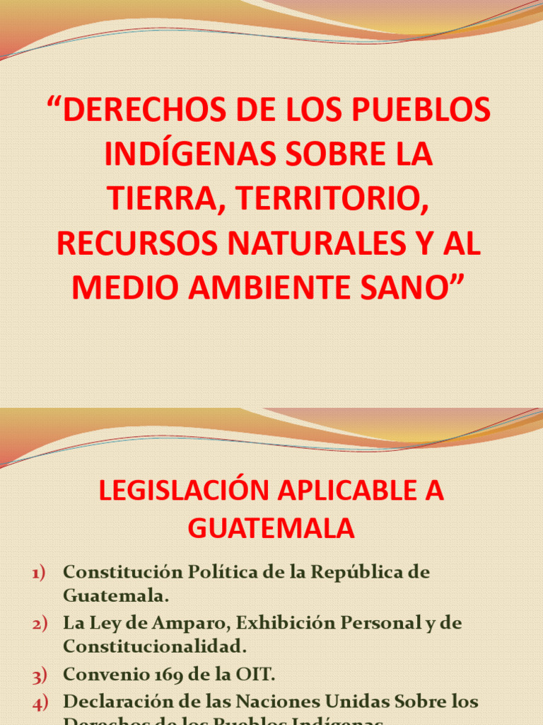 10 Derechos De Los Pueblos Indigenas De Venezuela