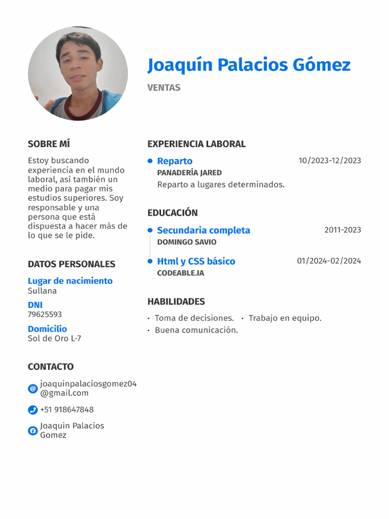 CV-Joaquín Palacios | PDF