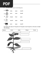 Grade 1 Tests 2 | PDF