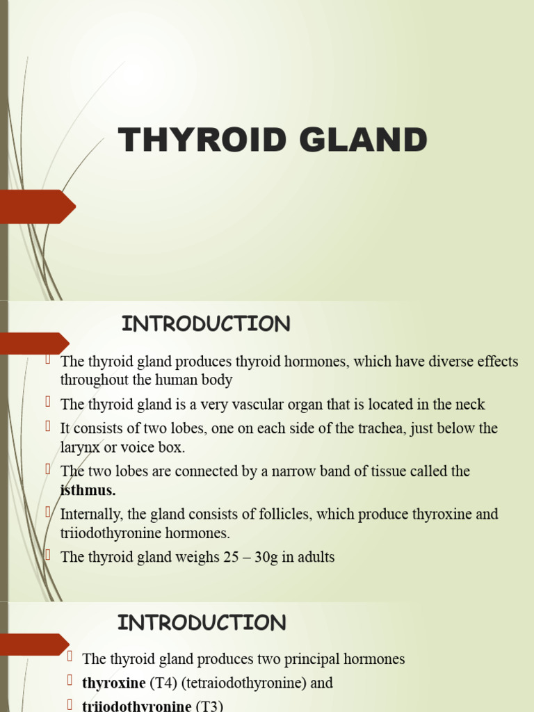 Thyroid Gland | Download Free PDF | Hypothyroidism | Thyroid Stimulating Hormone