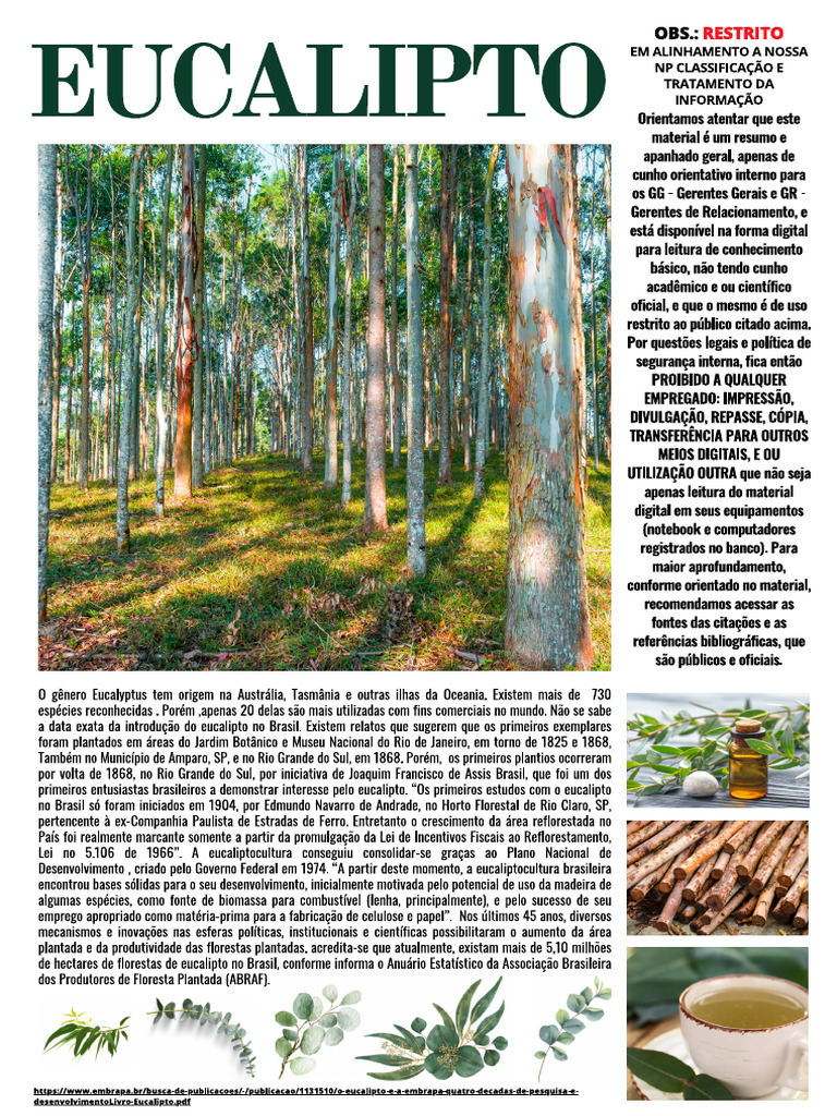 CARTILHA_EUCALIPTO | PDF