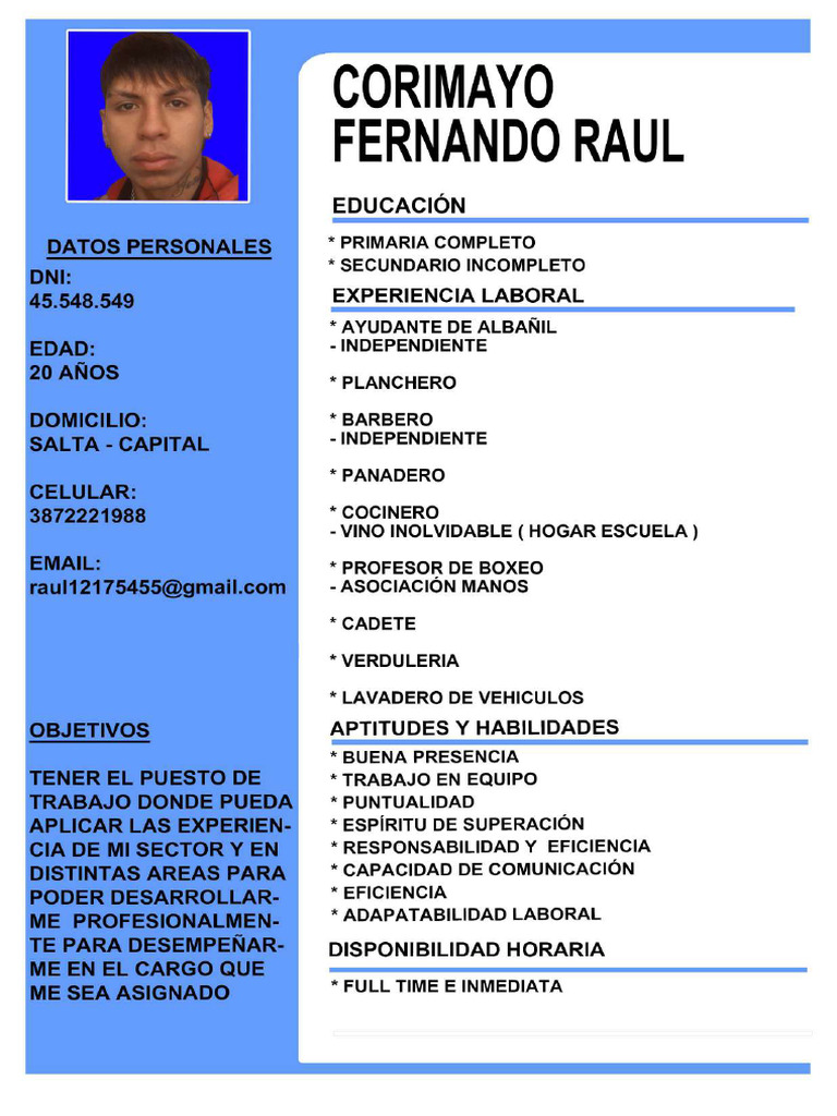 CURRICULUM Corimayo Raul | PDF